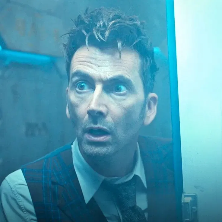 The Fourteenth Doctor