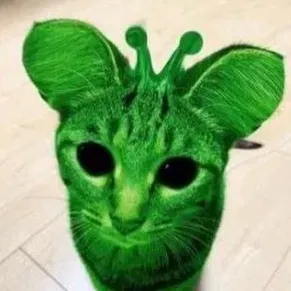 Alien Cat