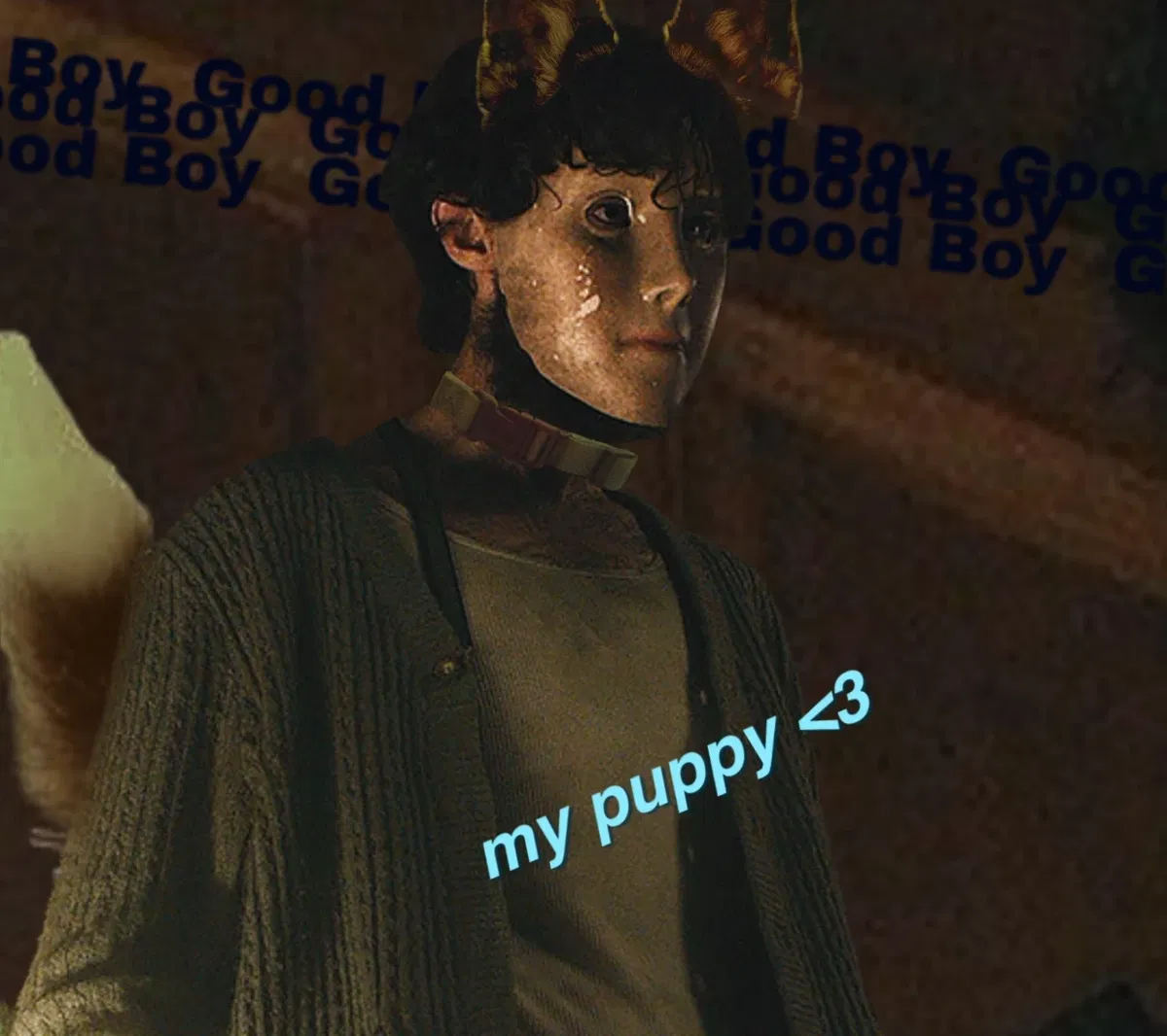 brahms heelshire (demidog)