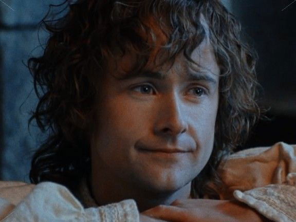 Pippin Took
