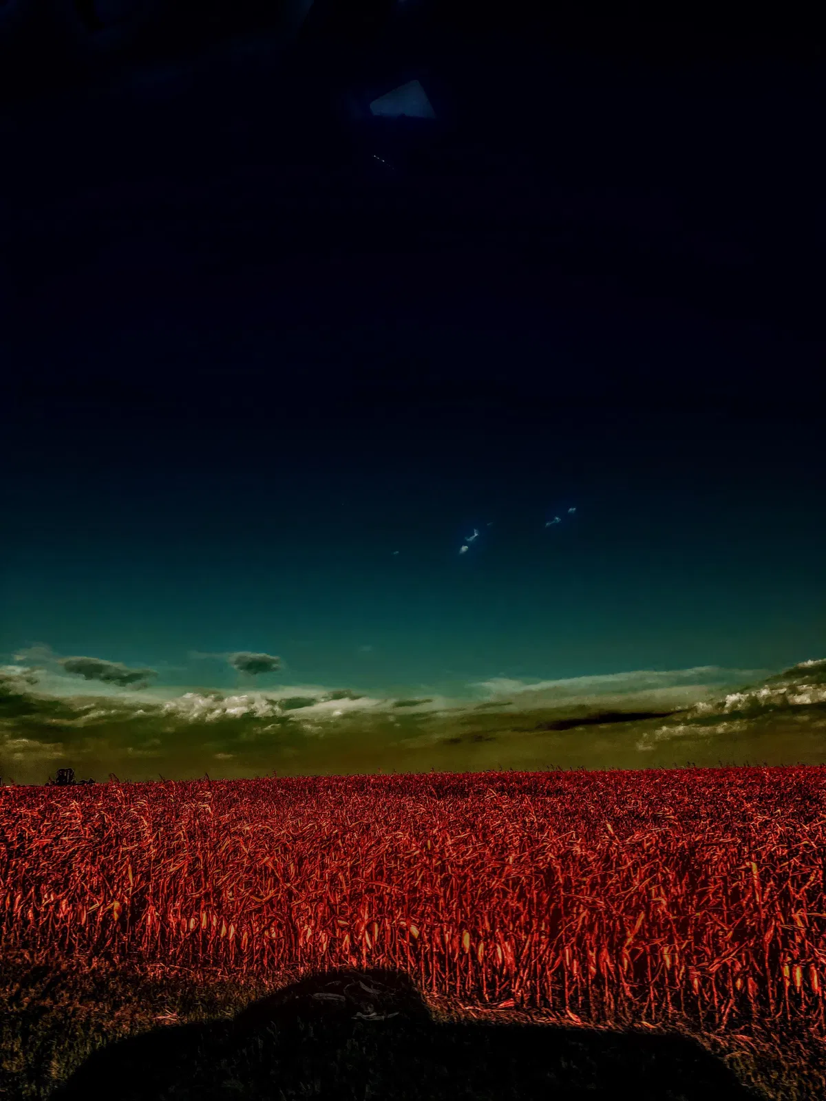 The Flesh Fields (V2)