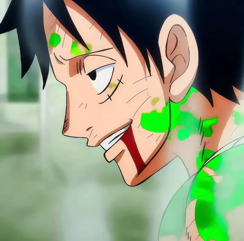 Monkey D Luffy