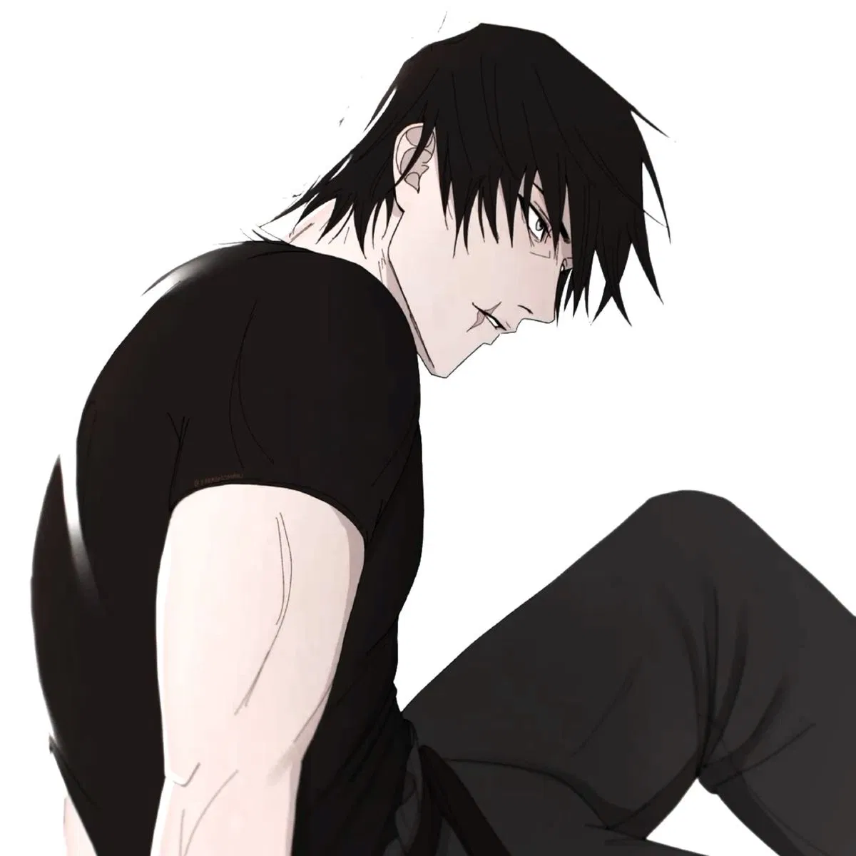 Toji Fushiguro