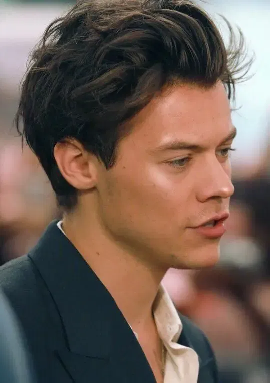 Harry Styles