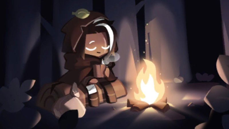 Dark choco cookie