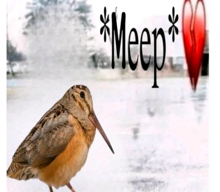 *Meep*💔