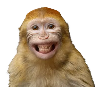 What happened to the FPE video?