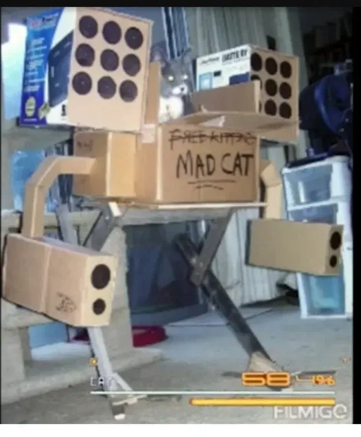M.A.D CAT