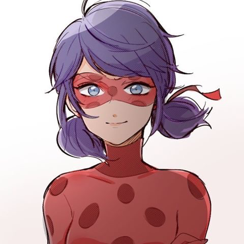 Ladybug