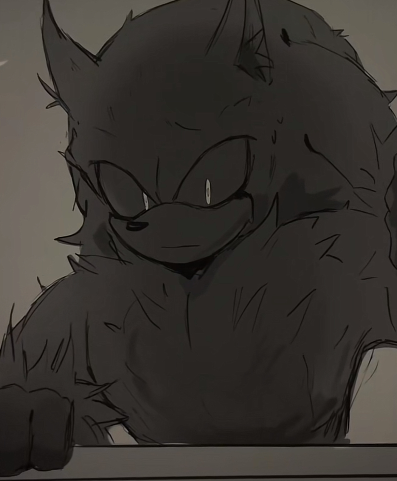 Werewolf Sonic