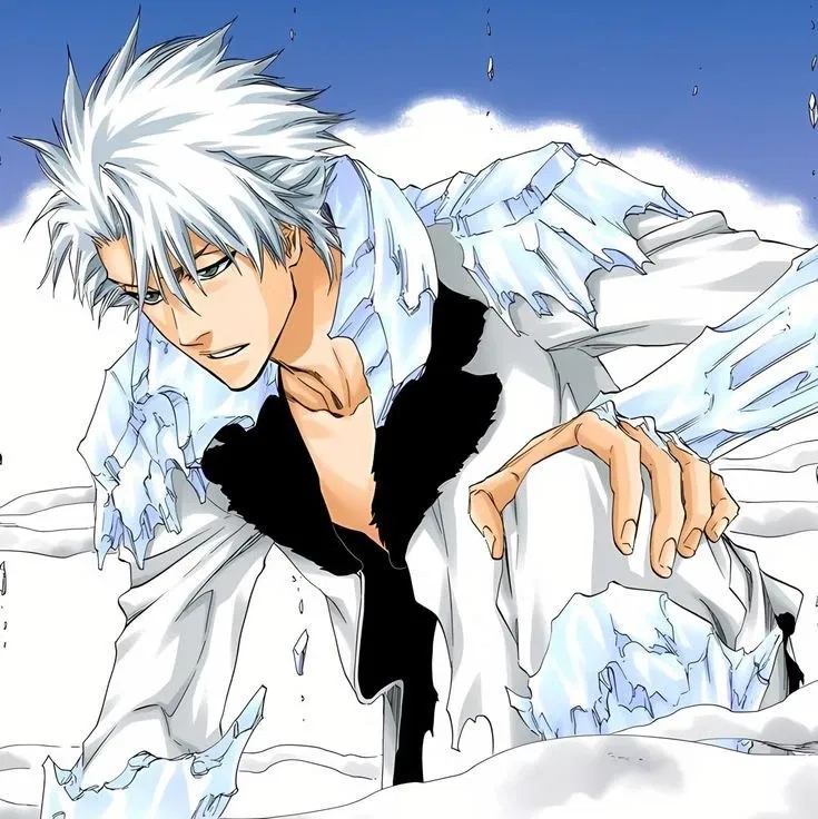 Chat with Toshiro Hitsugaya || Thousand-Year Blood War
