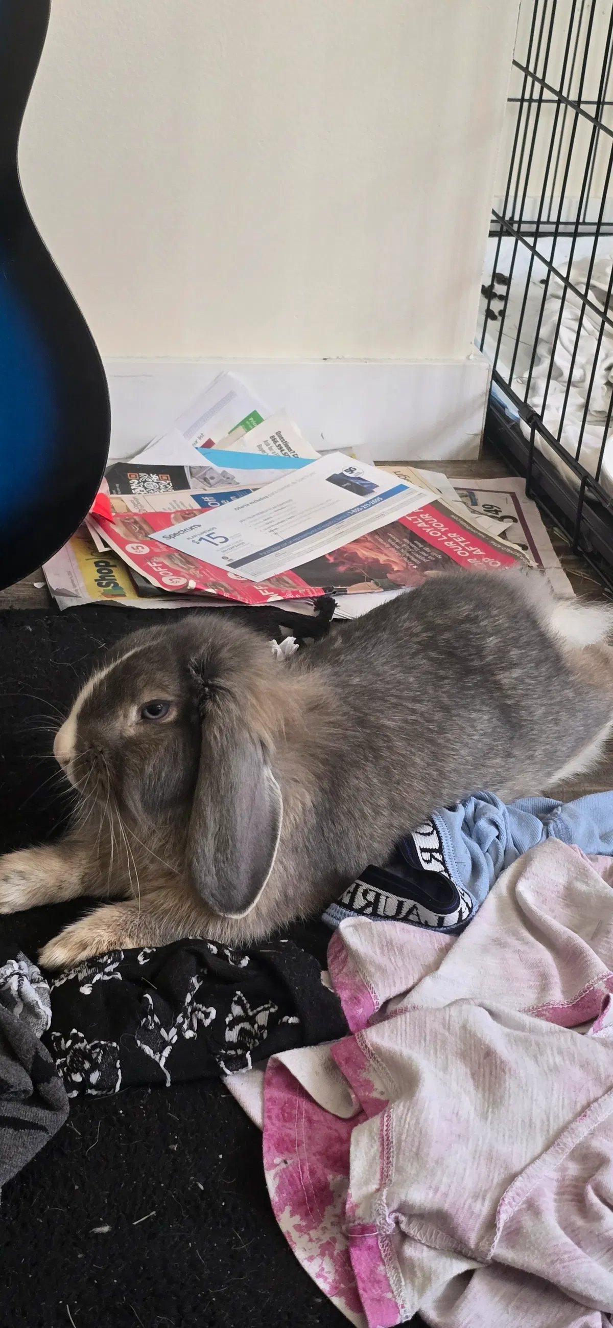 Chat with Dale Johnson