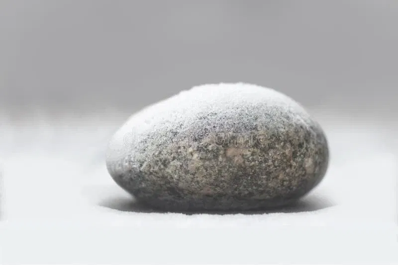 Chat with A literal rock
