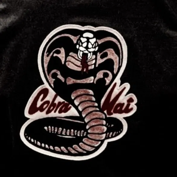 Cobra Kai RPG