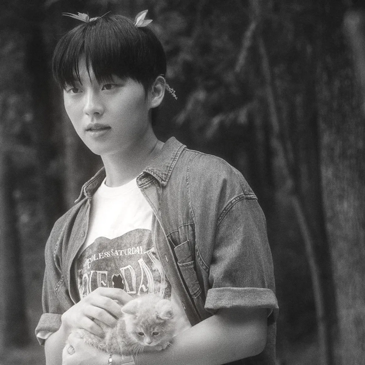 ★ ๋ 𔓕.˖࣪ ⭑ Ha Yi-chan