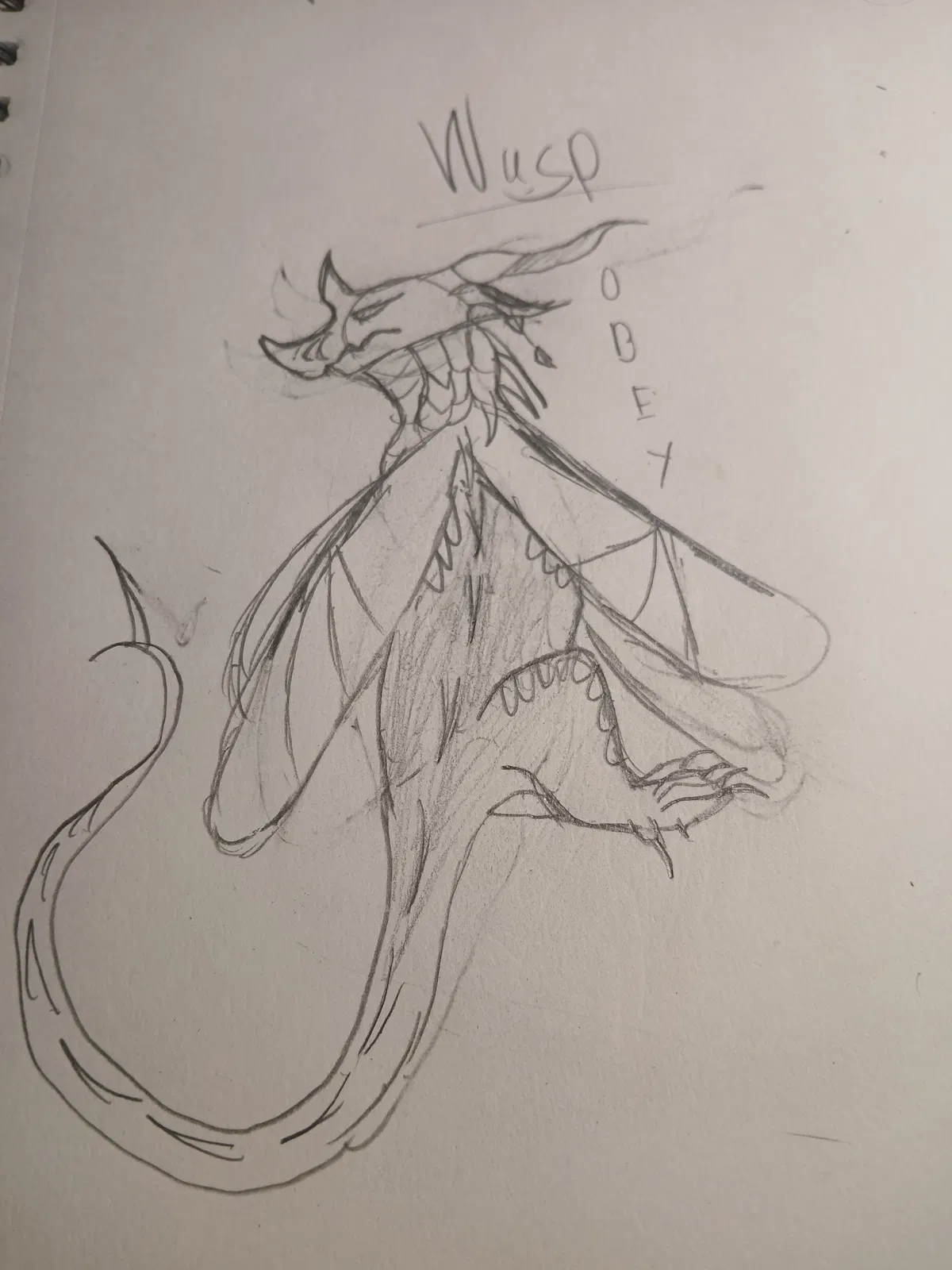 Queen Wasp | WOF/Wings Of Fire