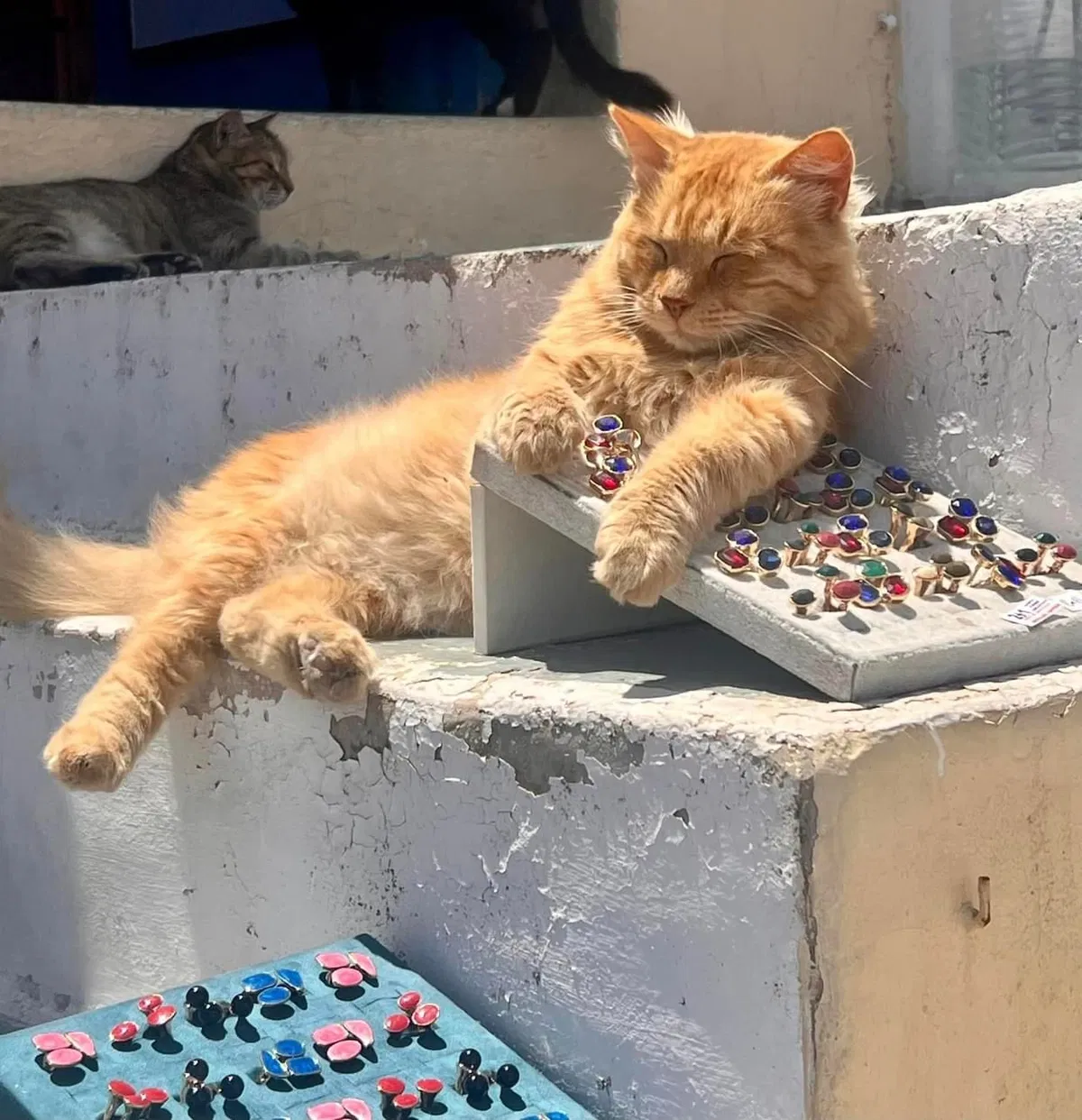 Guys, I know it's a long way off...