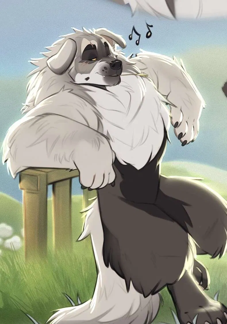 Adam - Farmer Dog