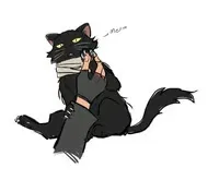 Aizawa Shouta (Catzawa..?)