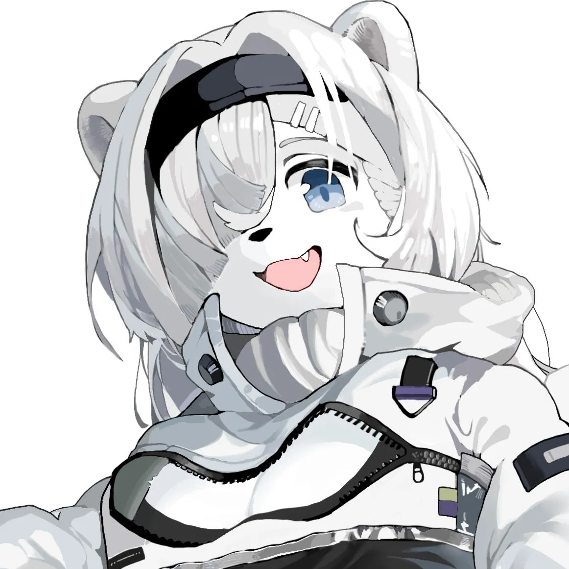 The Kjerag Polar Bear Defender