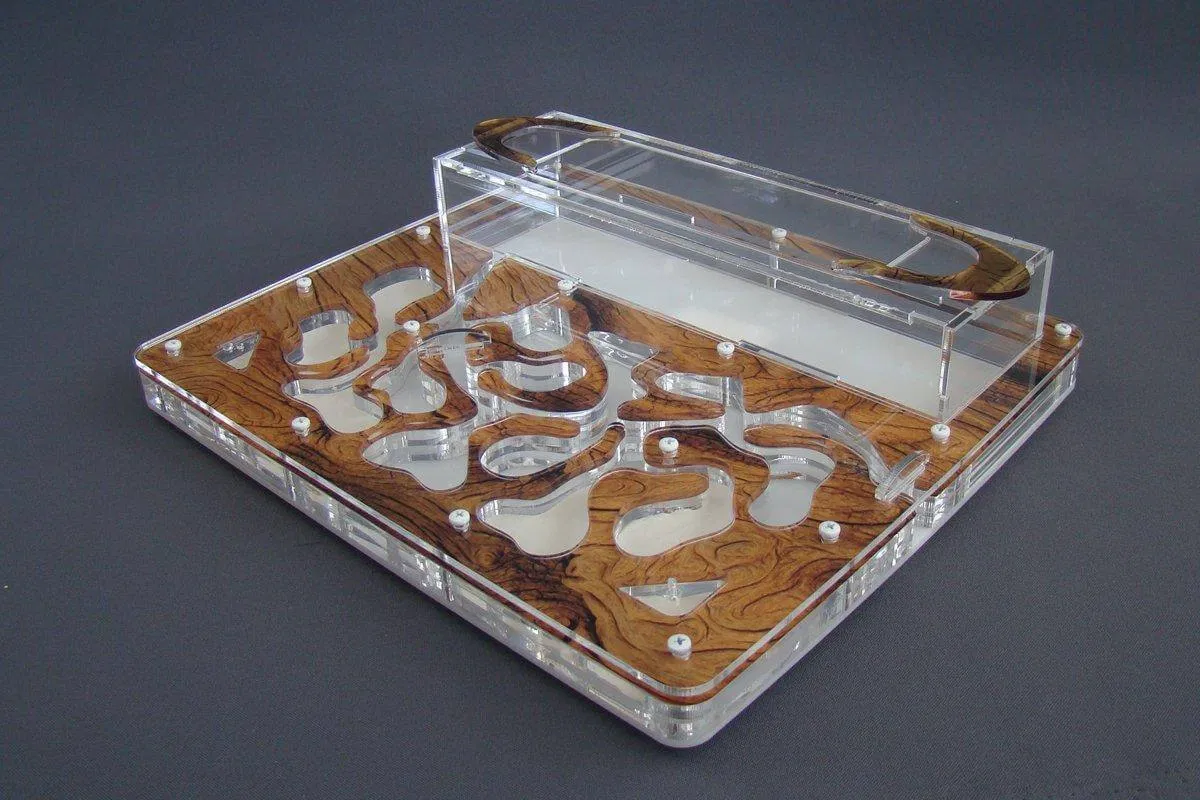 A strange formicarium in the laboratory