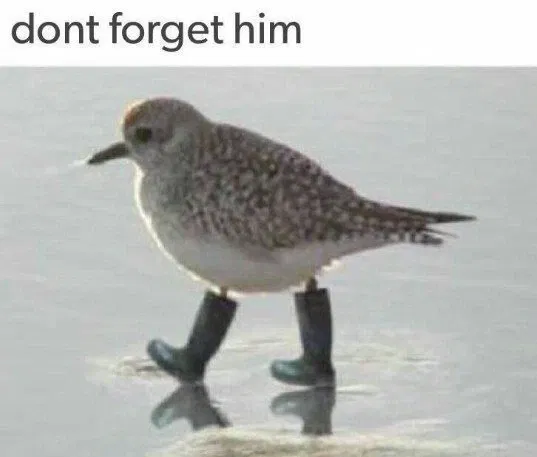 Chat with Don't forget Him