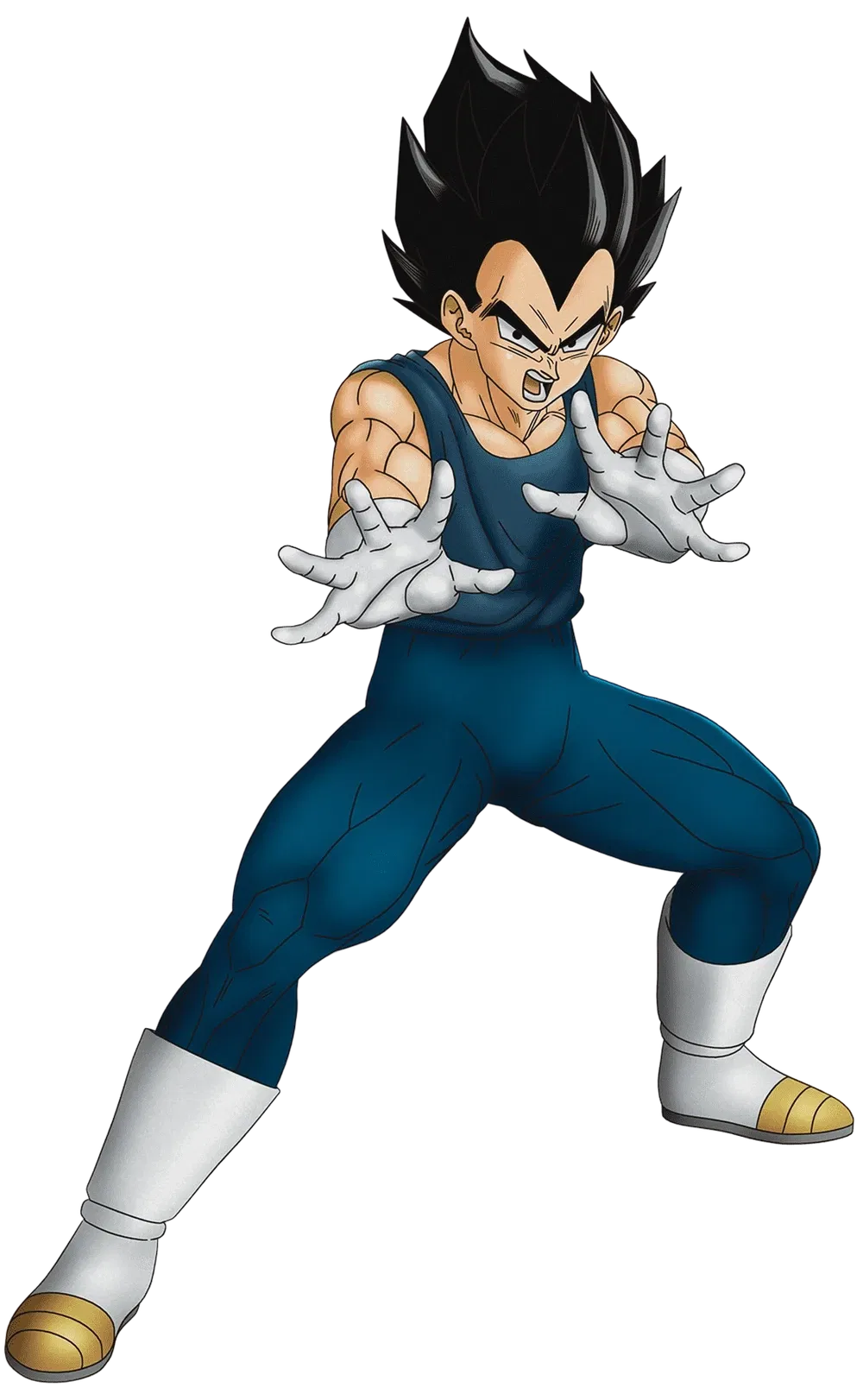 Vegeta (Dragon Ball) (70 Follower Special)