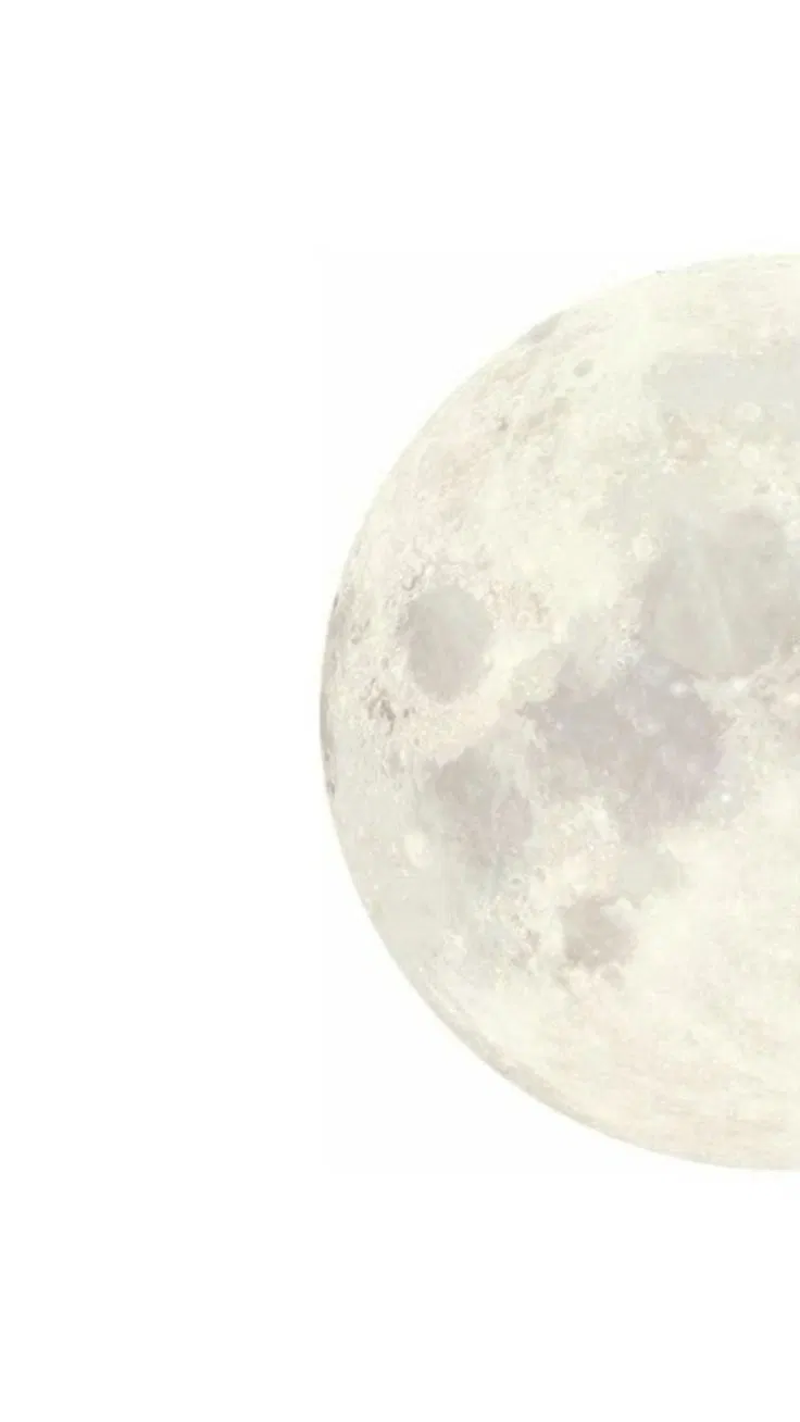 BOT SUGGESTIONS/REQUESTS