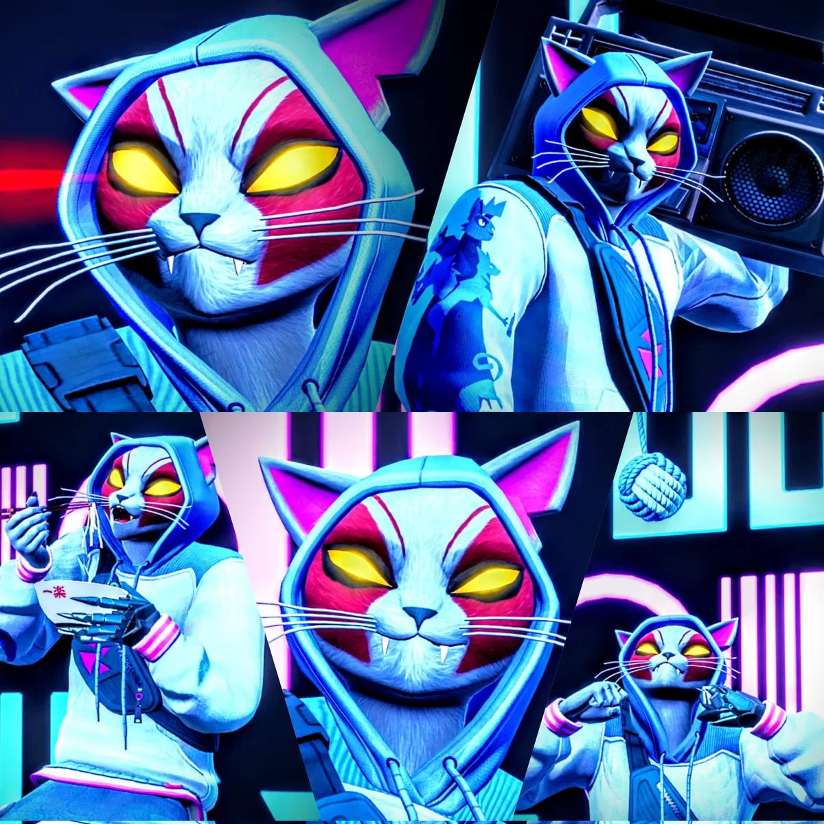 Nyanja! 🤍😺
