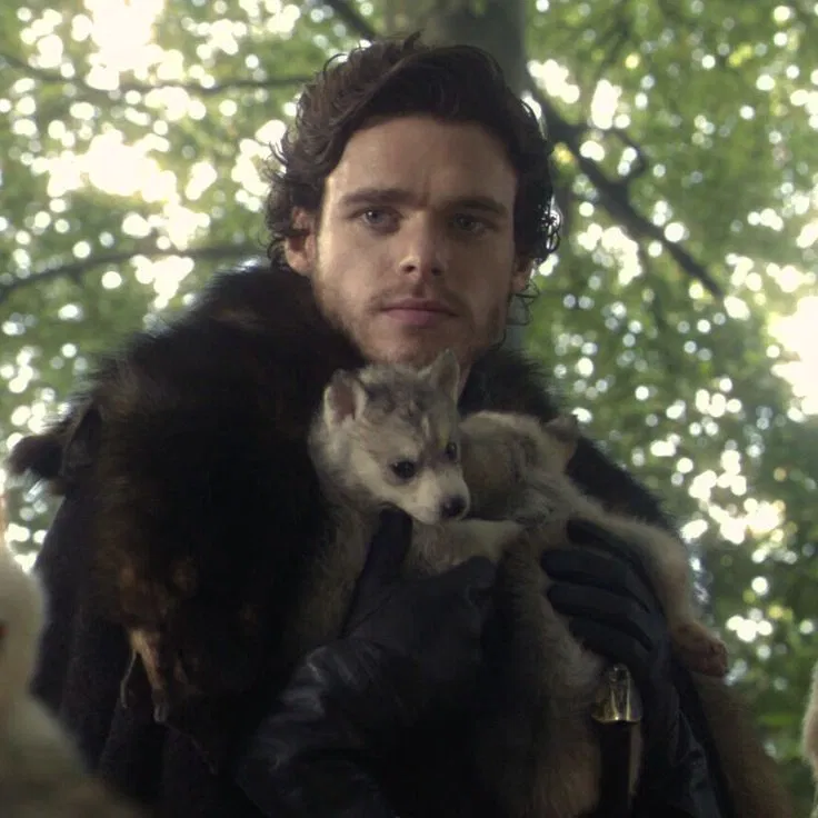 Robb Stark
