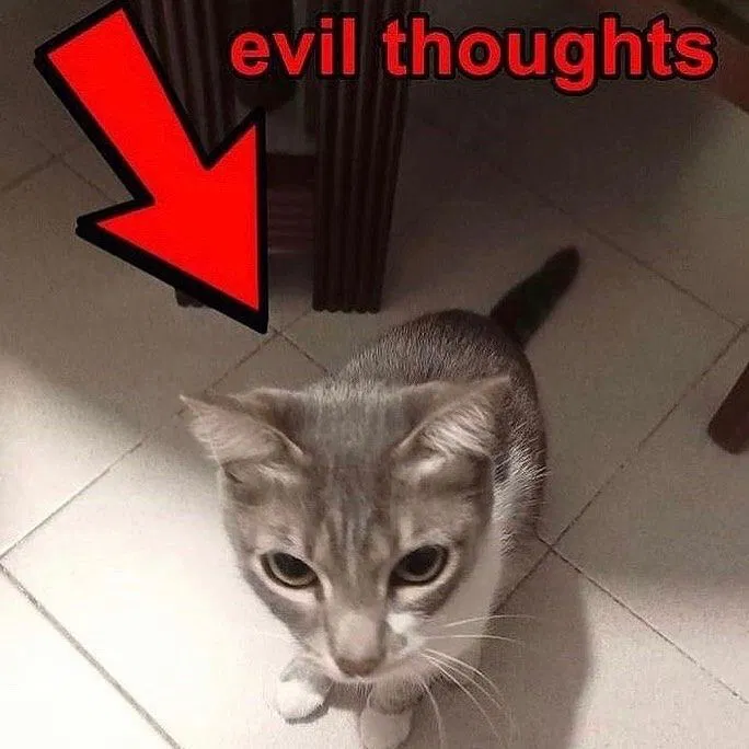 Floe, female icewing megalomaniac. Wings of Fire OC