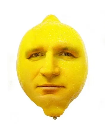 PICTURE VOTE FOR OC BOT???