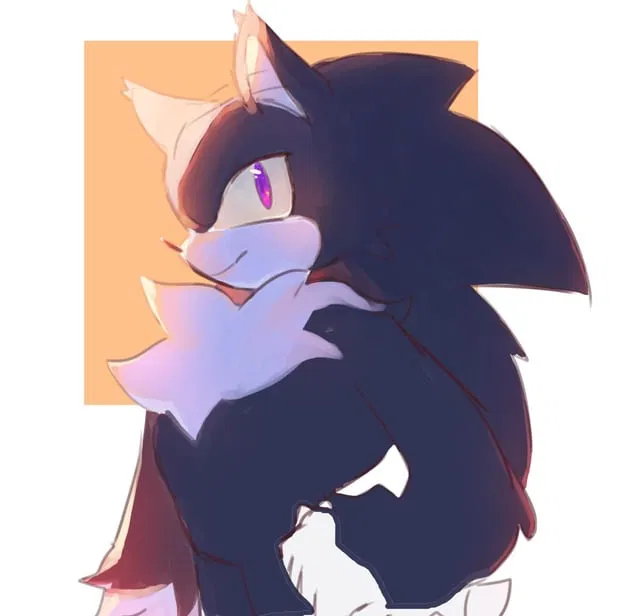 🐺 `` - SONIC . 𖦹