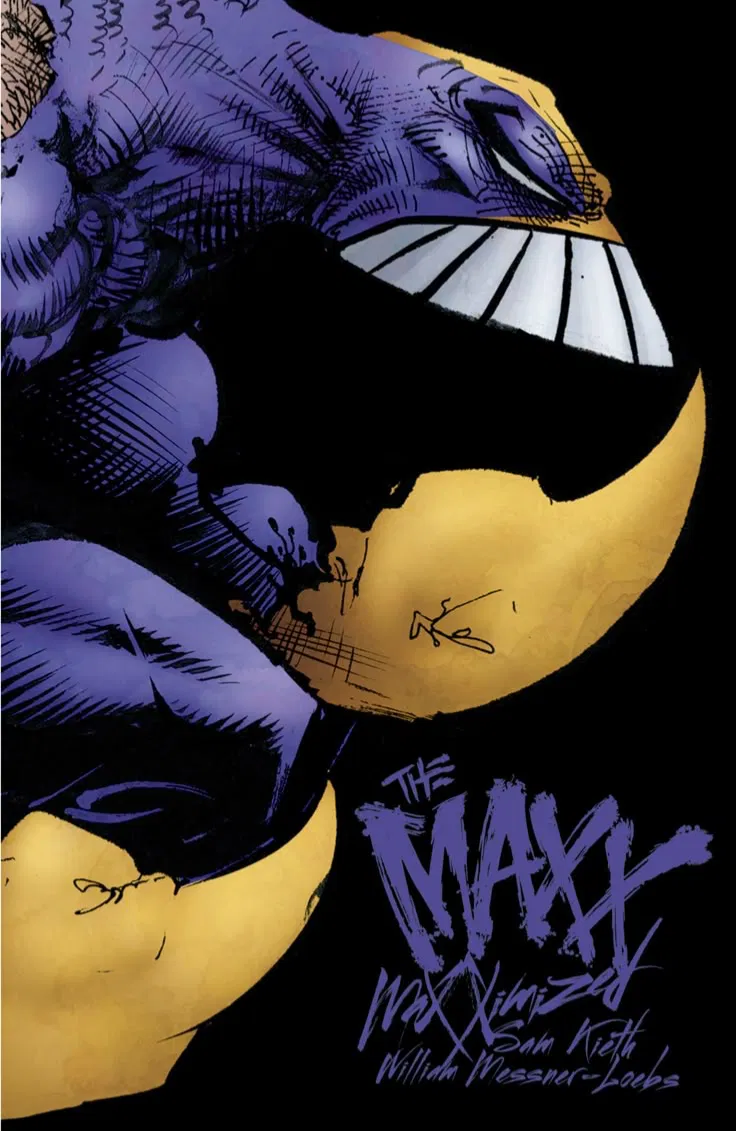 The Maxx (Aka Maxx)