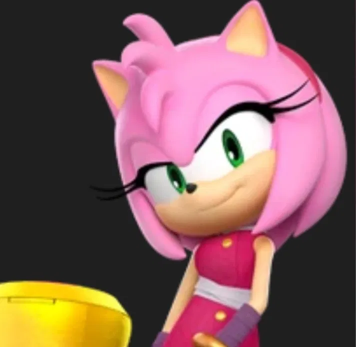 Amy Rose | Bad Future AU