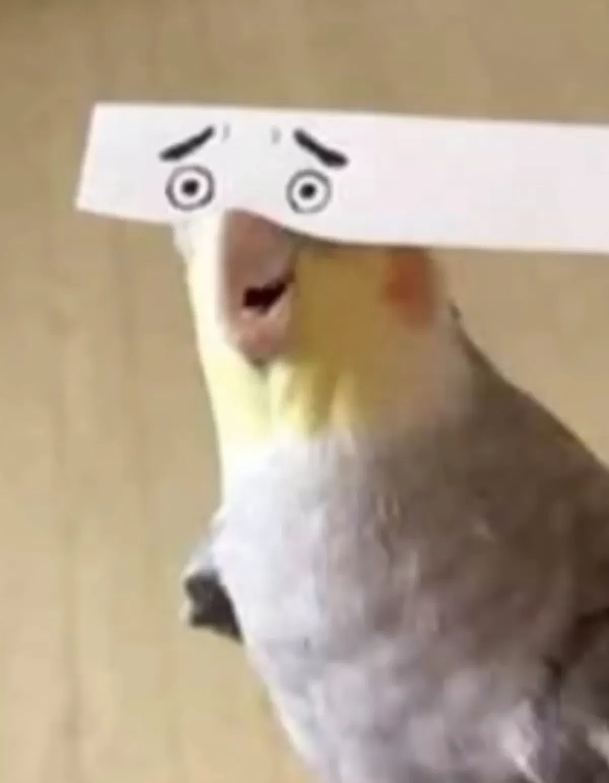 You wot mate?