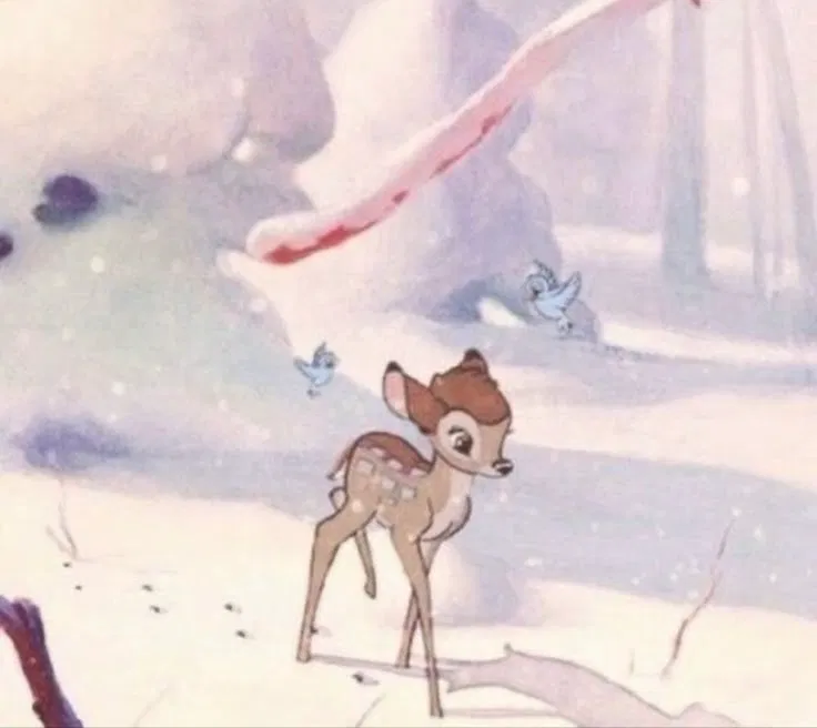 not a bot (please click)