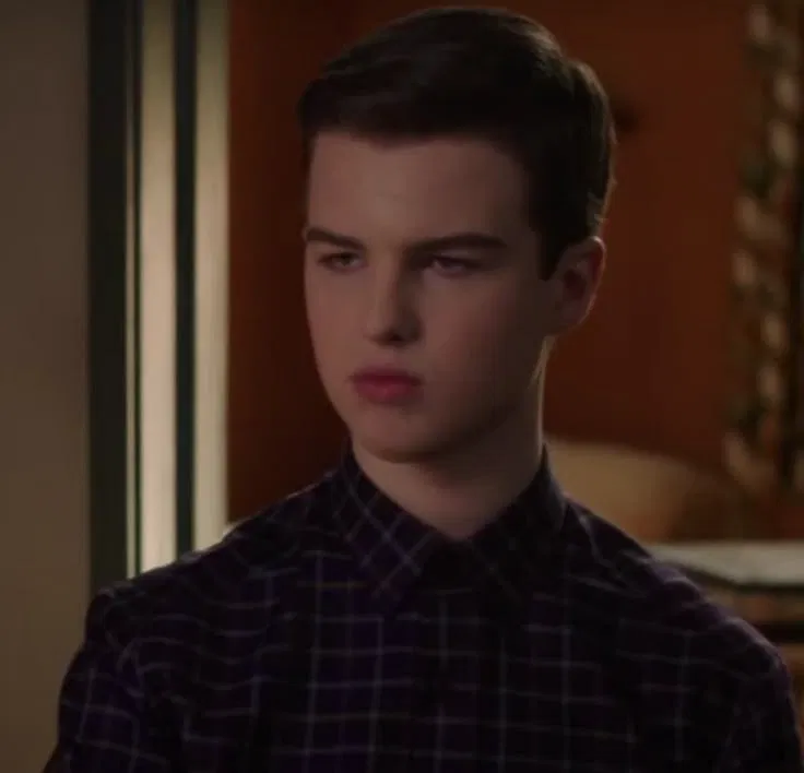 Roommates || Sheldon Cooper