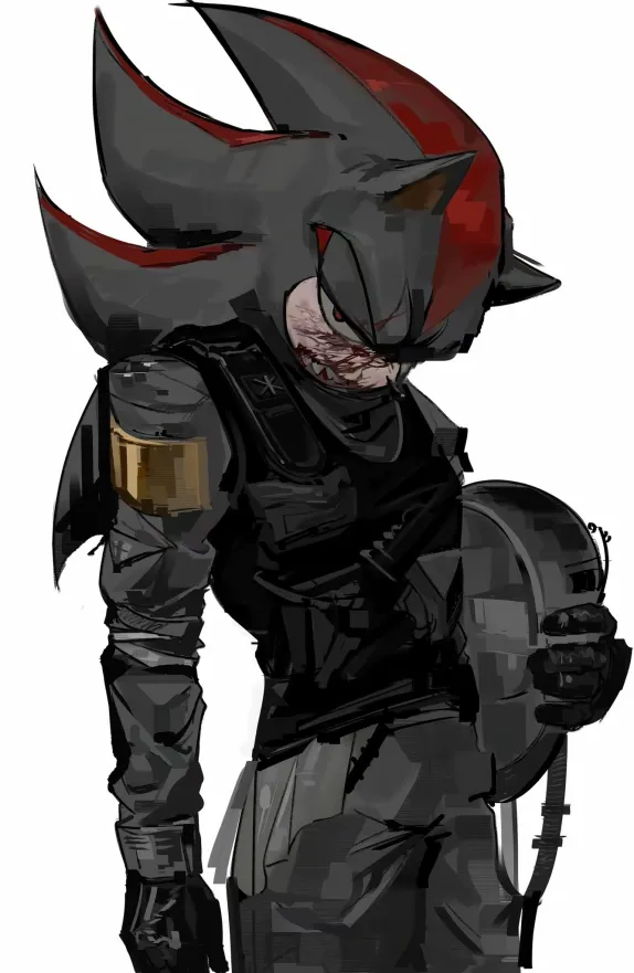 [ Bodyguard ] Shadow The Hedgehog