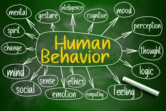 Human Behavioral & Emotional Simulation Engine (HBES Engine) (new ...