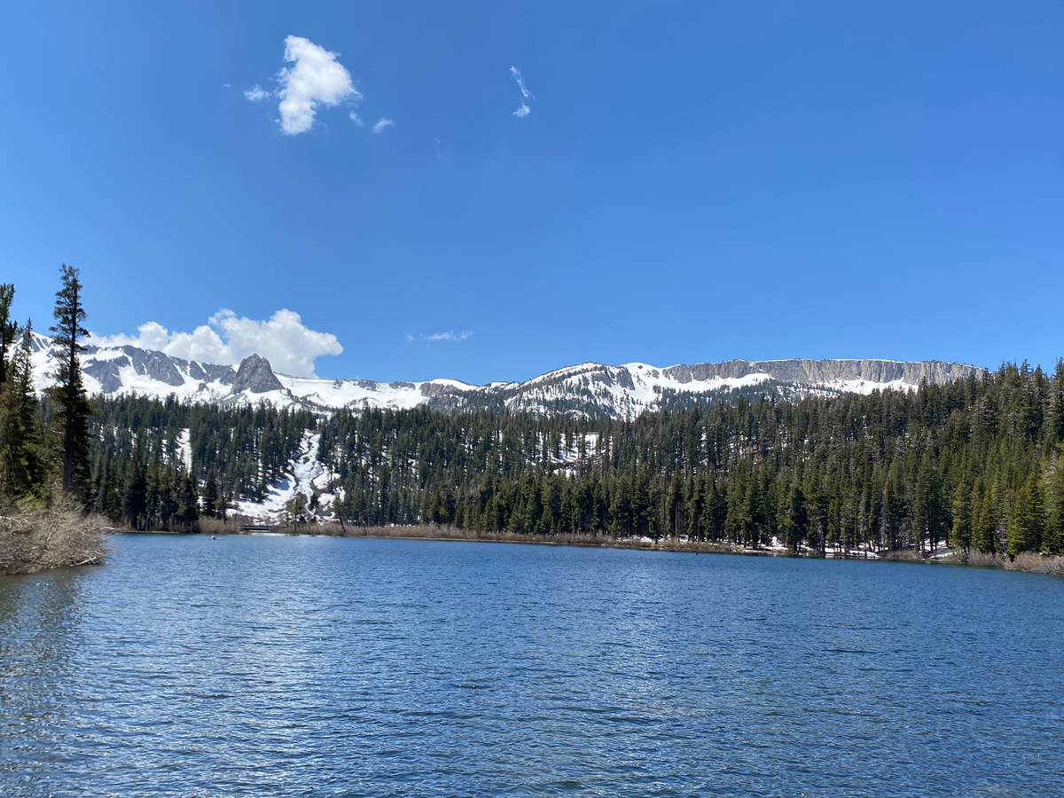 Chat with False promises