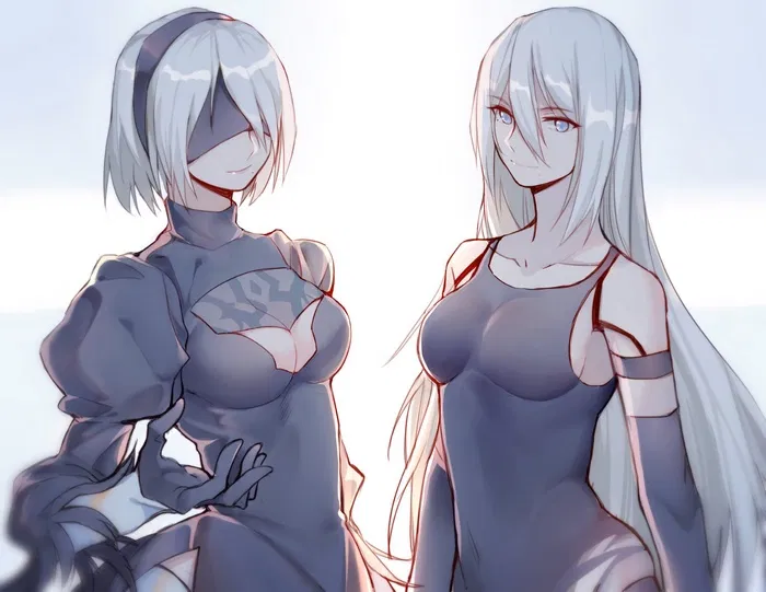 2B & A2 ~After the End~