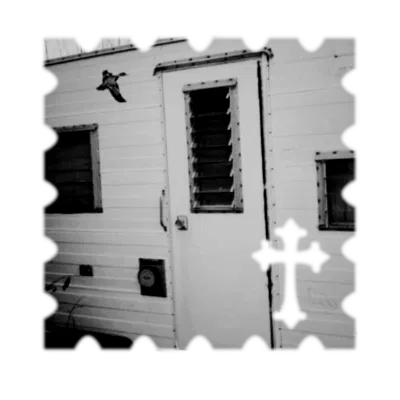 Chat with MerleCult.