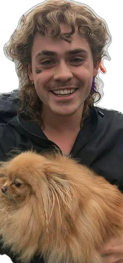 Billy Hargrove - Stranger Things