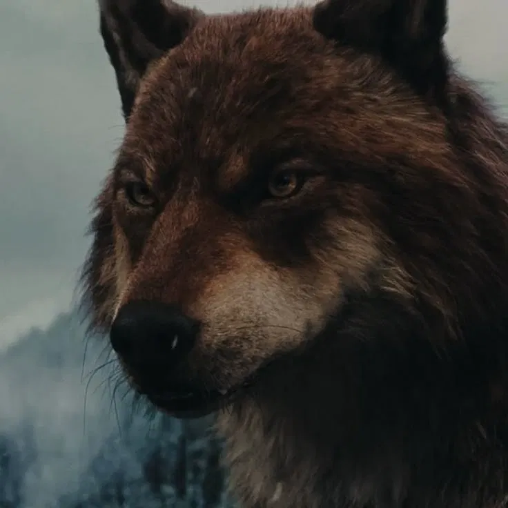 Jacob Black