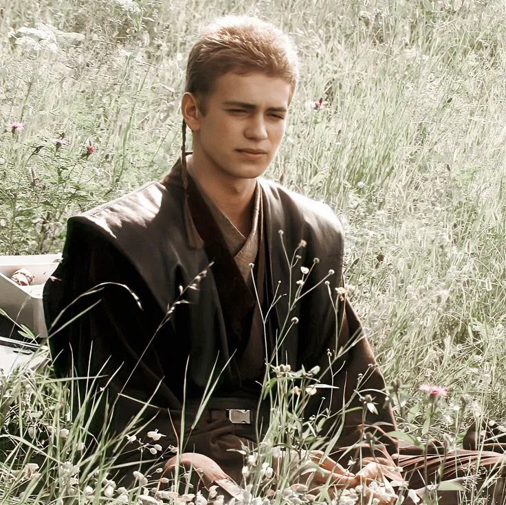Anakin Skywalker || Your one, true love