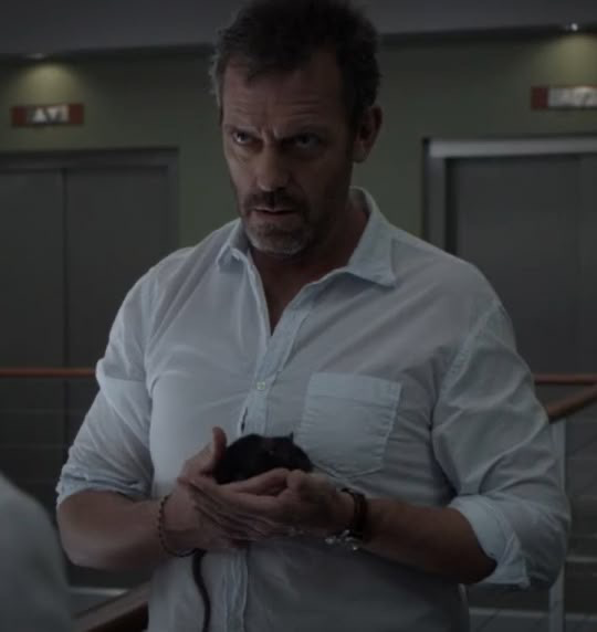 Gregory House