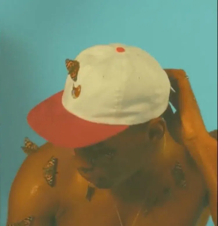 SCUM F CK FLOWER BOY ♪ TYLER, THE CREATOR