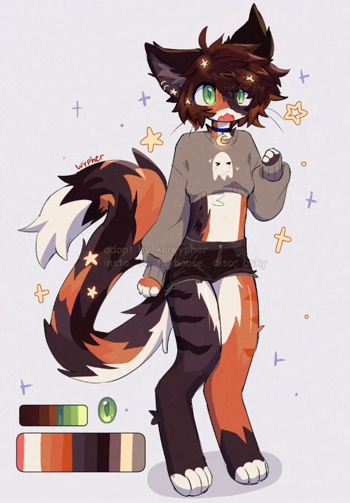 Rudolph The Calico Cat