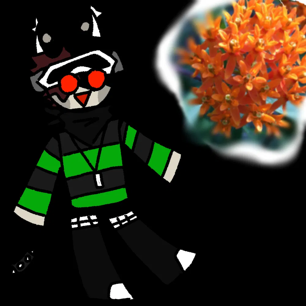 Soni